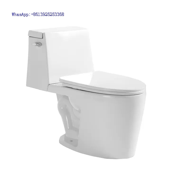 Efficient and Convenient Split Siphonic Floor-Drain Toilet Designed ...