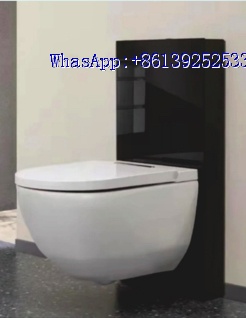 Samiyah B2B Sanitary Ware | Custom Tempered Glass Flush Tanks
